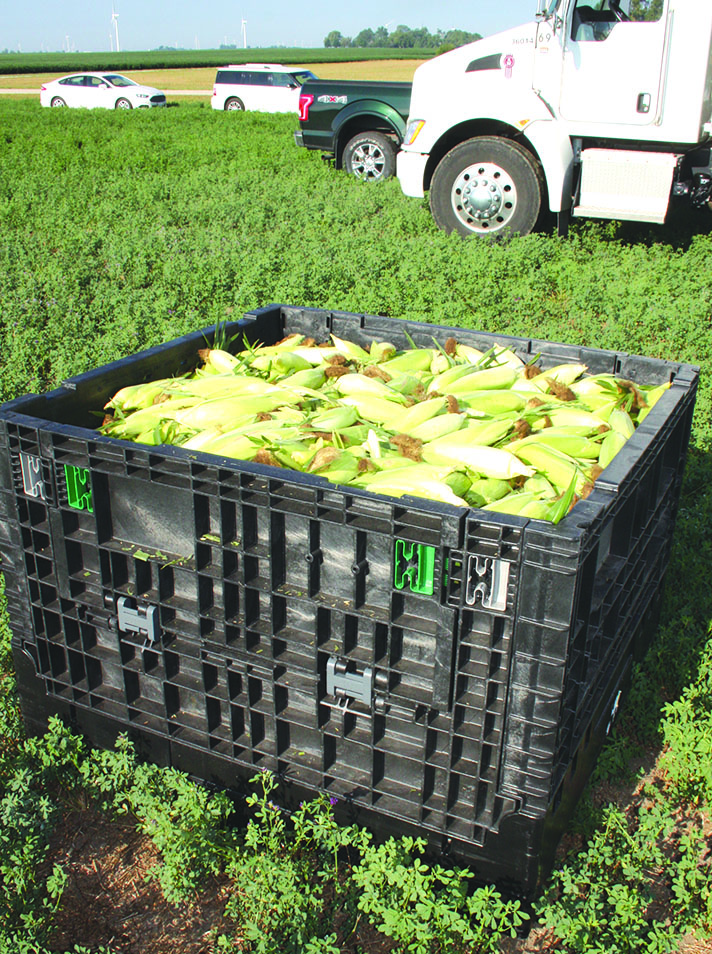 Bunting Corn Harvest to Aid Food Bank – The Paper On Line